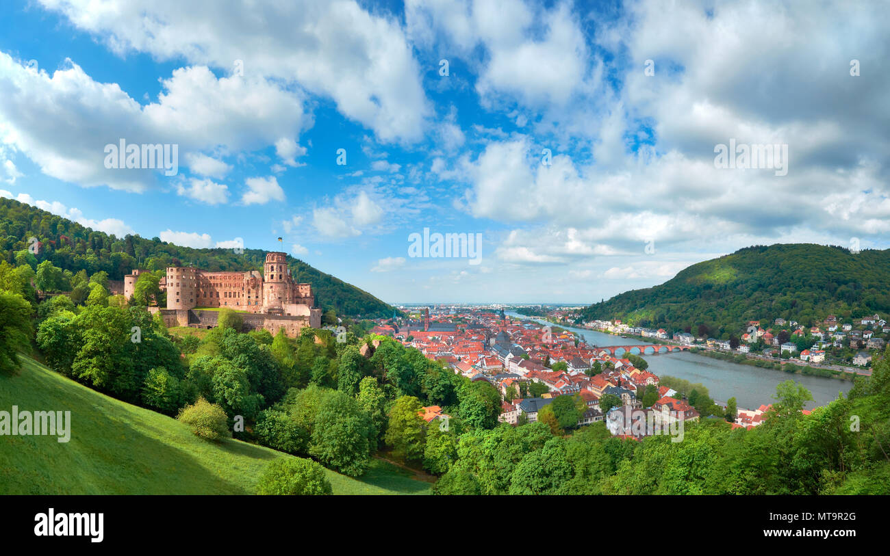 Heidelberg town in Germany and ruins of Heidelberg Castle (Heidelberger ...