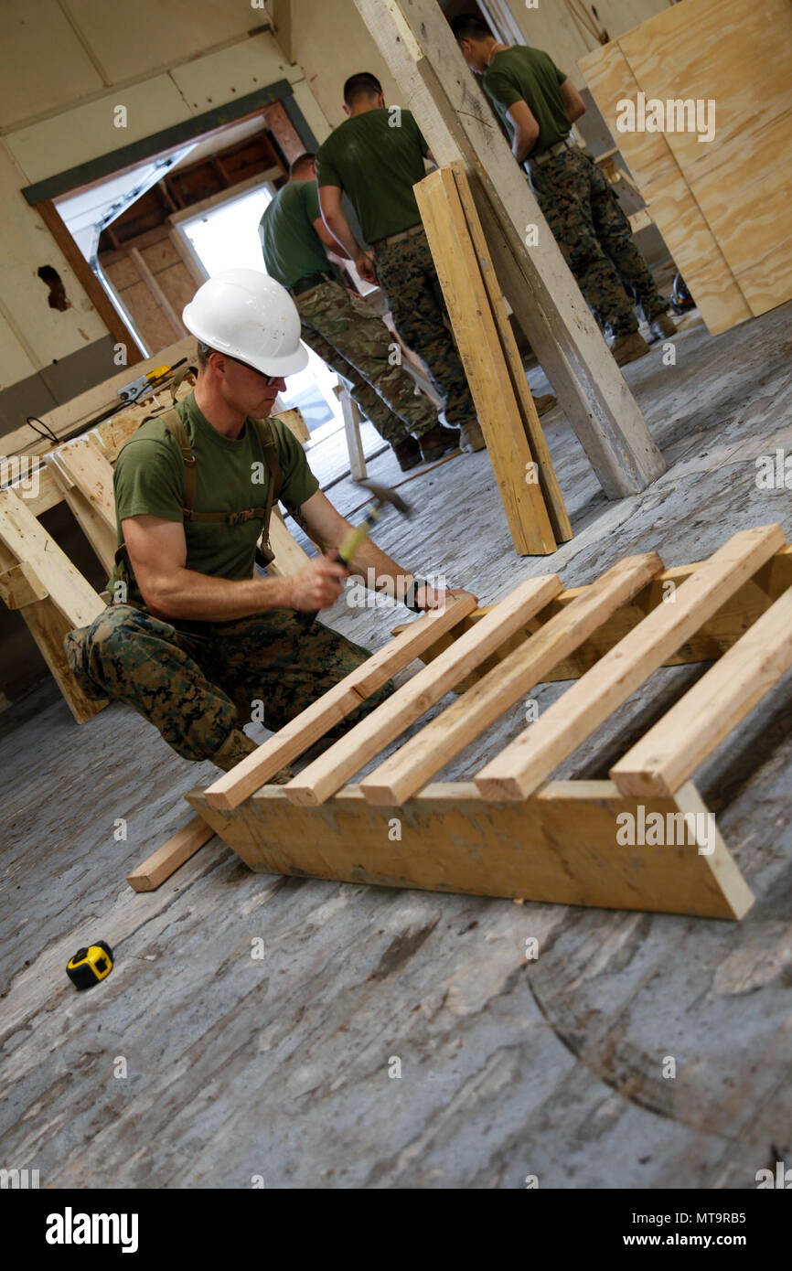 U.S. Marine Lance Cpl. Ryan A. Leenarts, combat engineer with Engineer ...