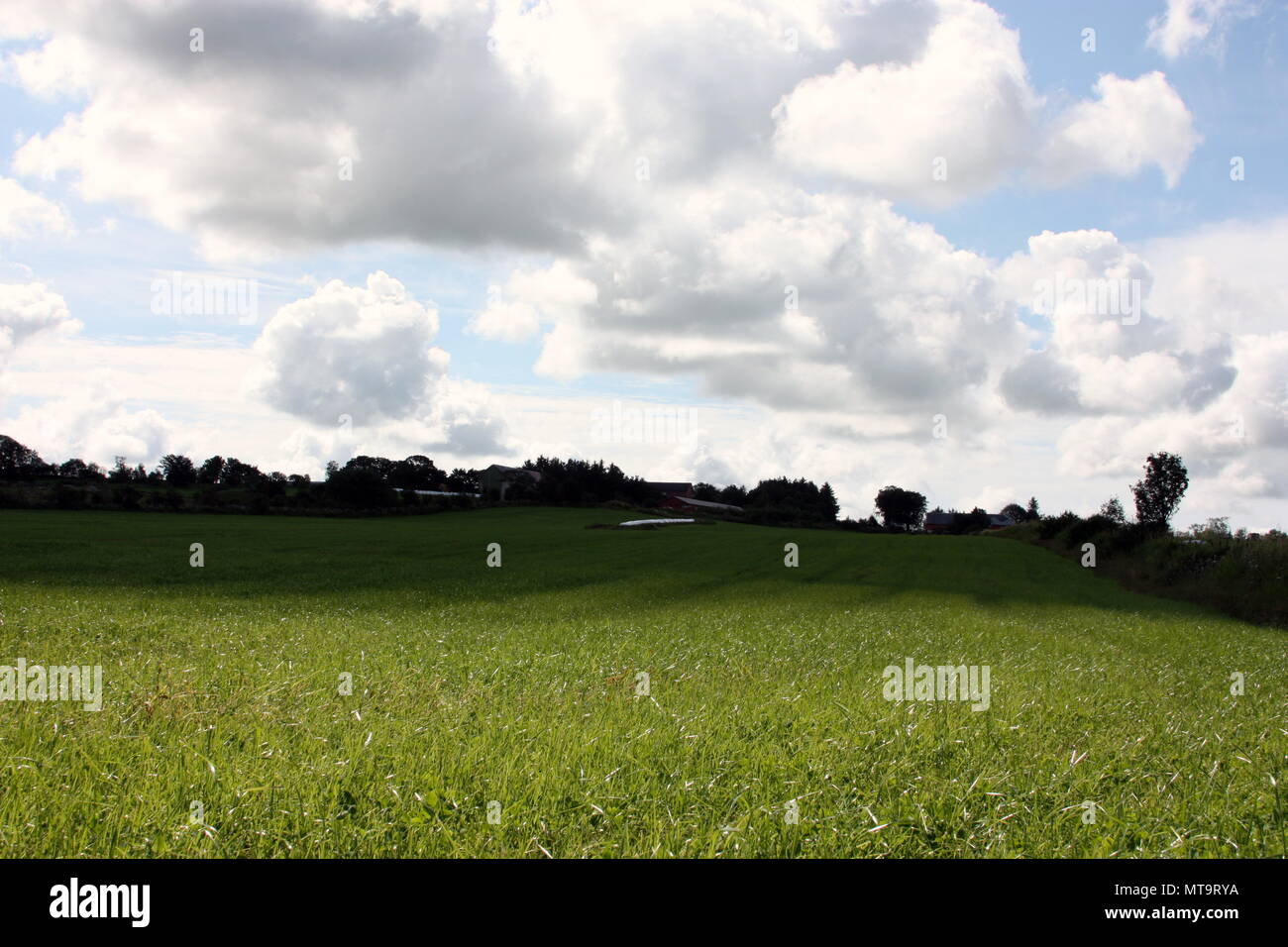 Field in norway hi-res stock photography and images - Alamy