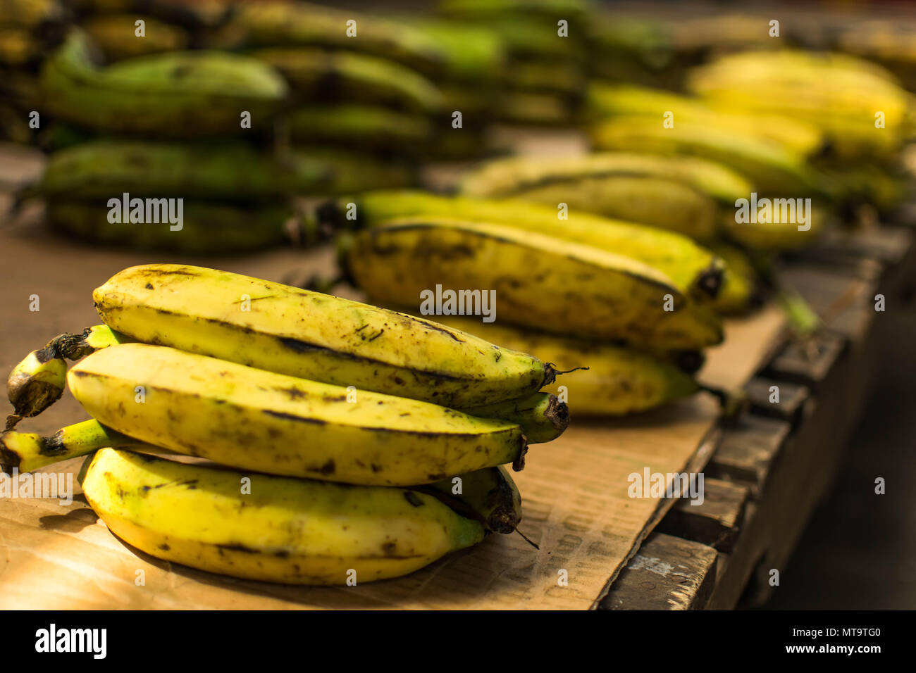 A stack of bananas at a local market in Masaya, Nicaragua Stock Photo ...