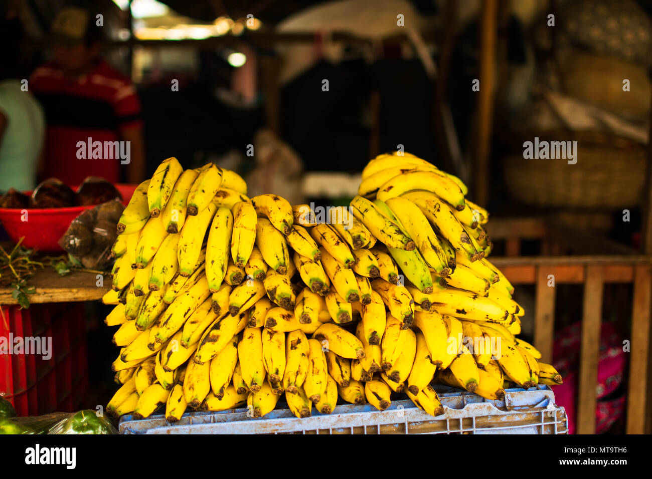 A stack of bananas at a local market in Masaya, Nicaragua Stock Photo ...
