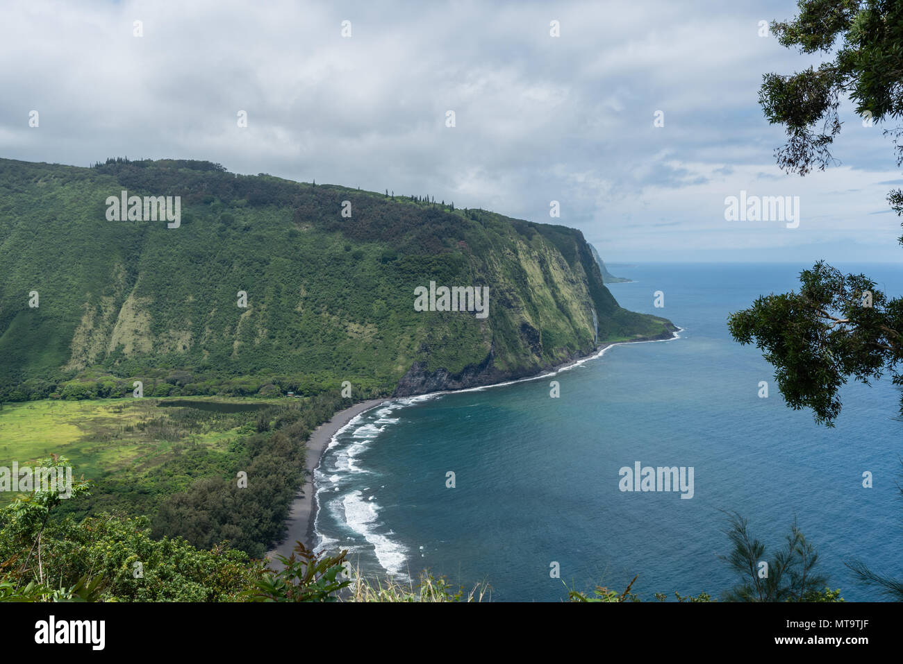 Waipio valley cliffs hi-res stock photography and images - Alamy