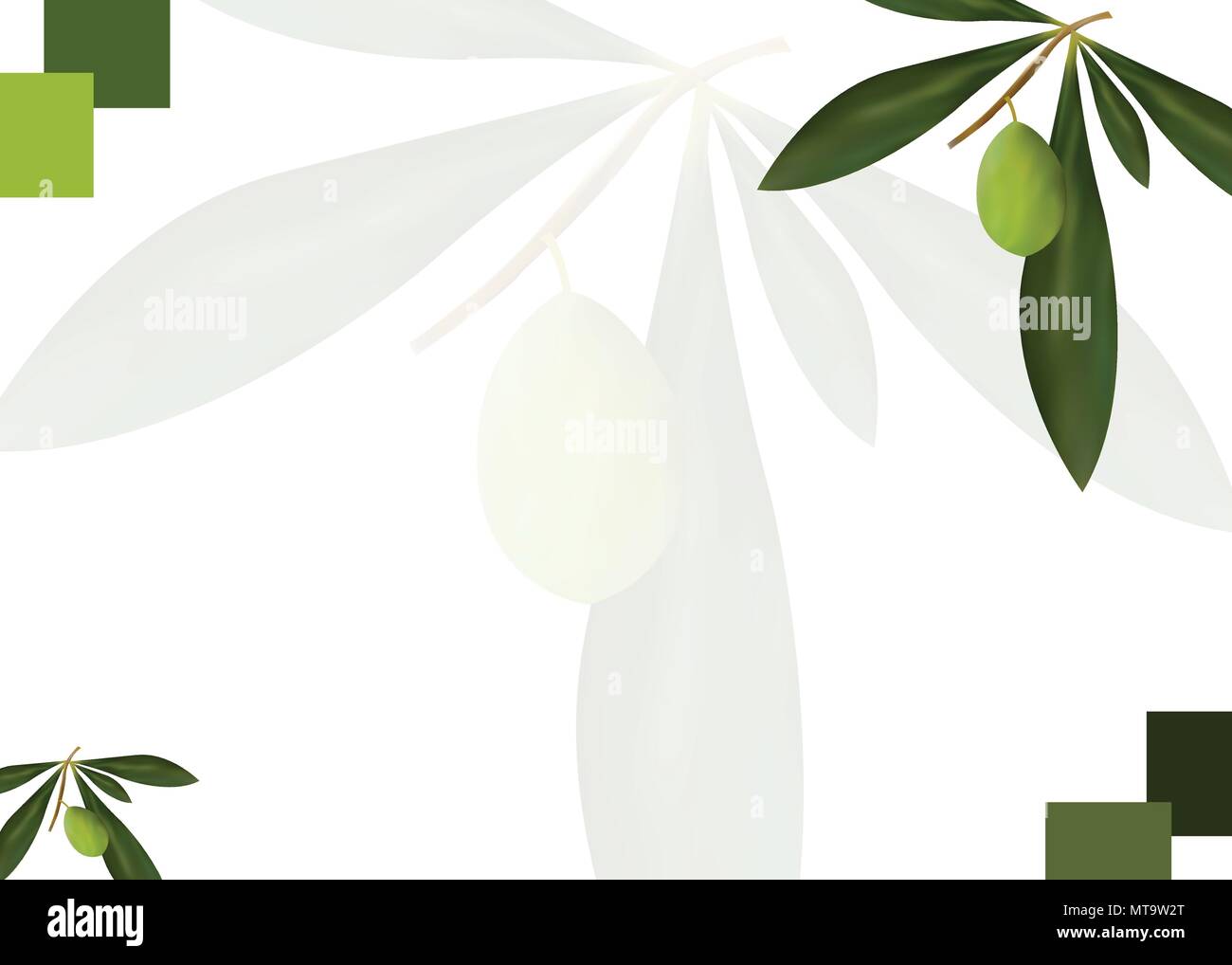 card with olive tree vector illustration Stock Vector Image & Art - Alamy