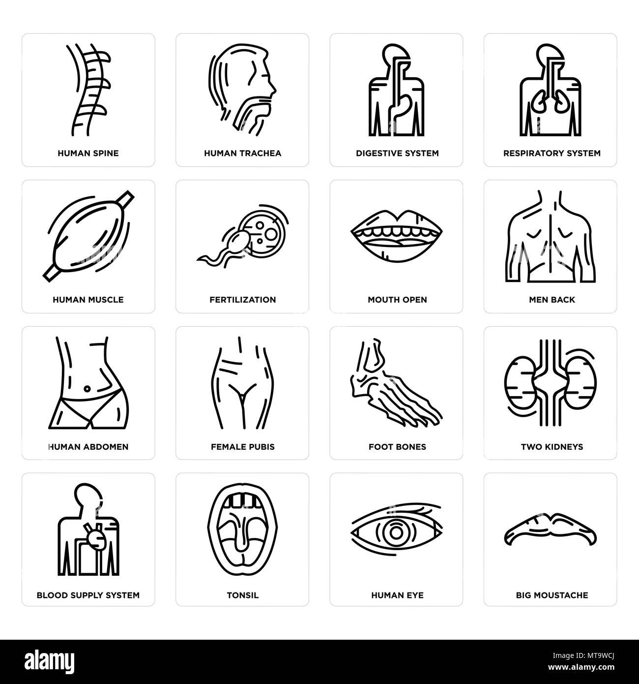 Set Of 16 simple editable icons such as Big Moustache, Human Eye ...