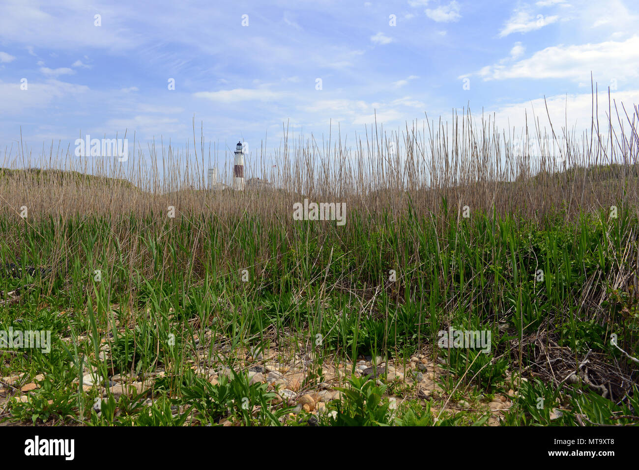 Coastal scene with Montauk Lighthouse in Long Island New York Stock ...