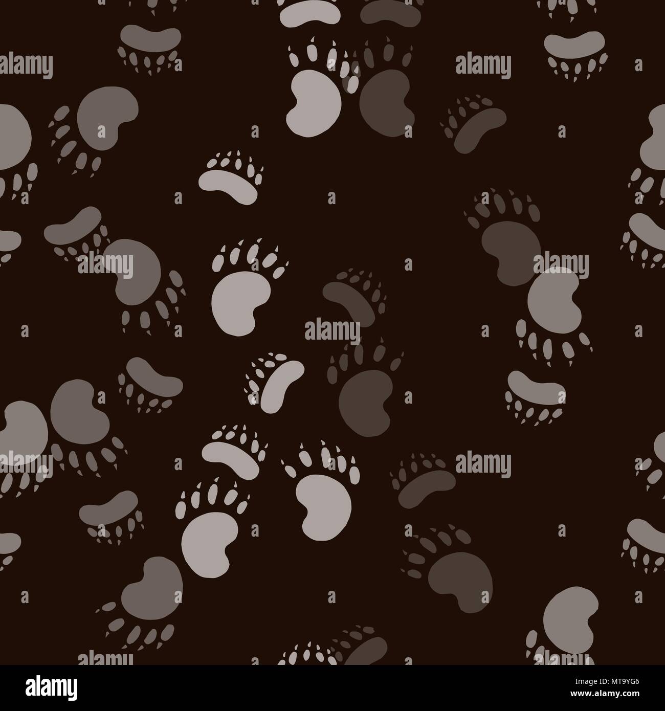 Bear claw mark hi-res stock photography and images - Alamy