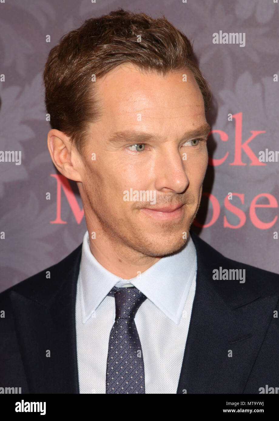 Celebrities attend Premiere Red Carpet Event for SHOWTIME limited ...