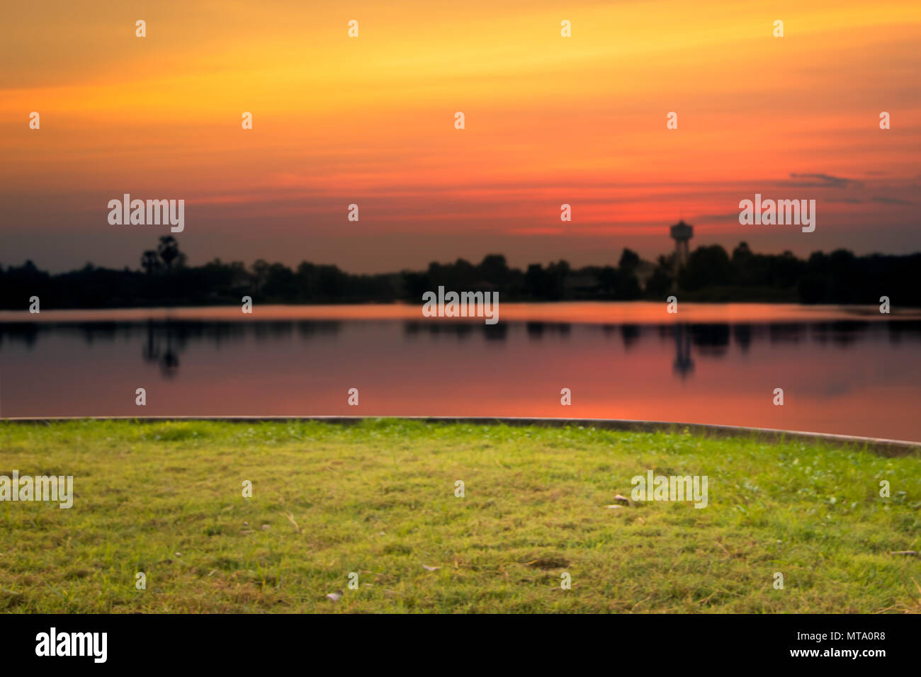 Forest yard evening hi-res stock photography and images - Alamy