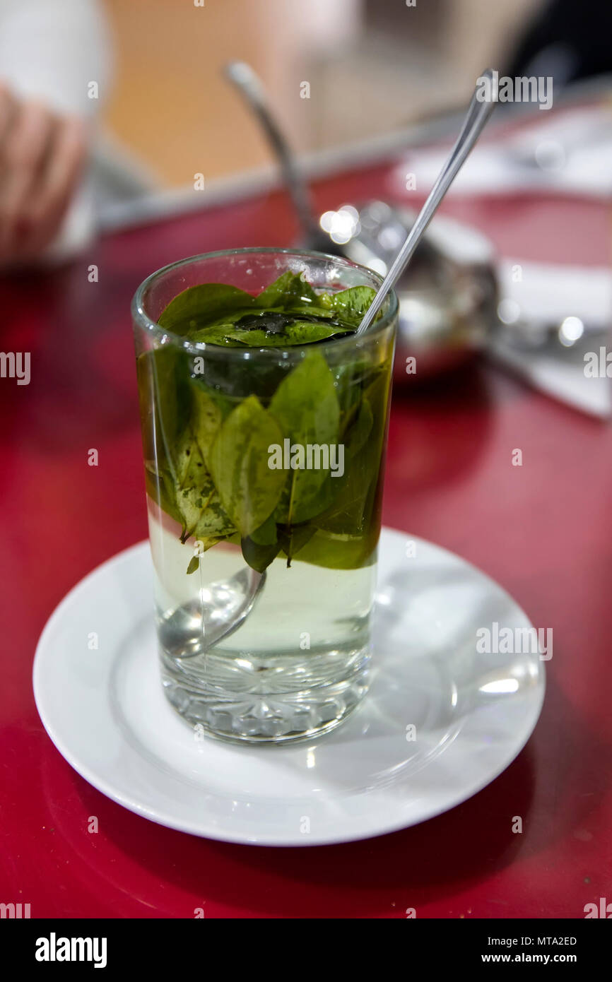 Coca plant peru hi-res stock photography and images - Alamy