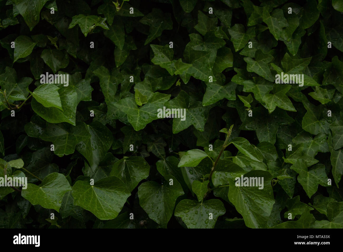 Close up of textures and backgrounds Stock Photo - Alamy