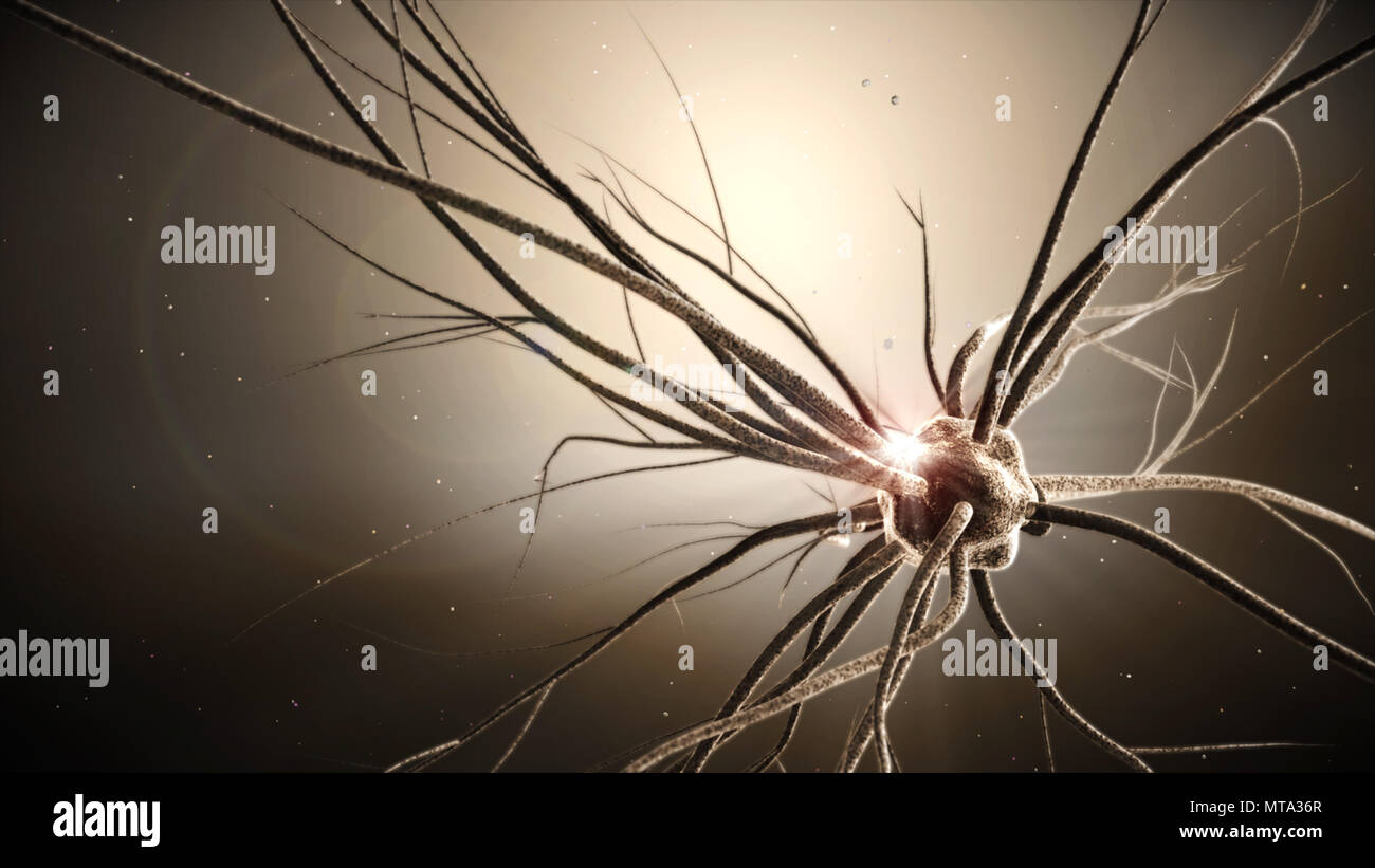 Abstract Illustration of bacteria - in brown colors Stock Photo - Alamy