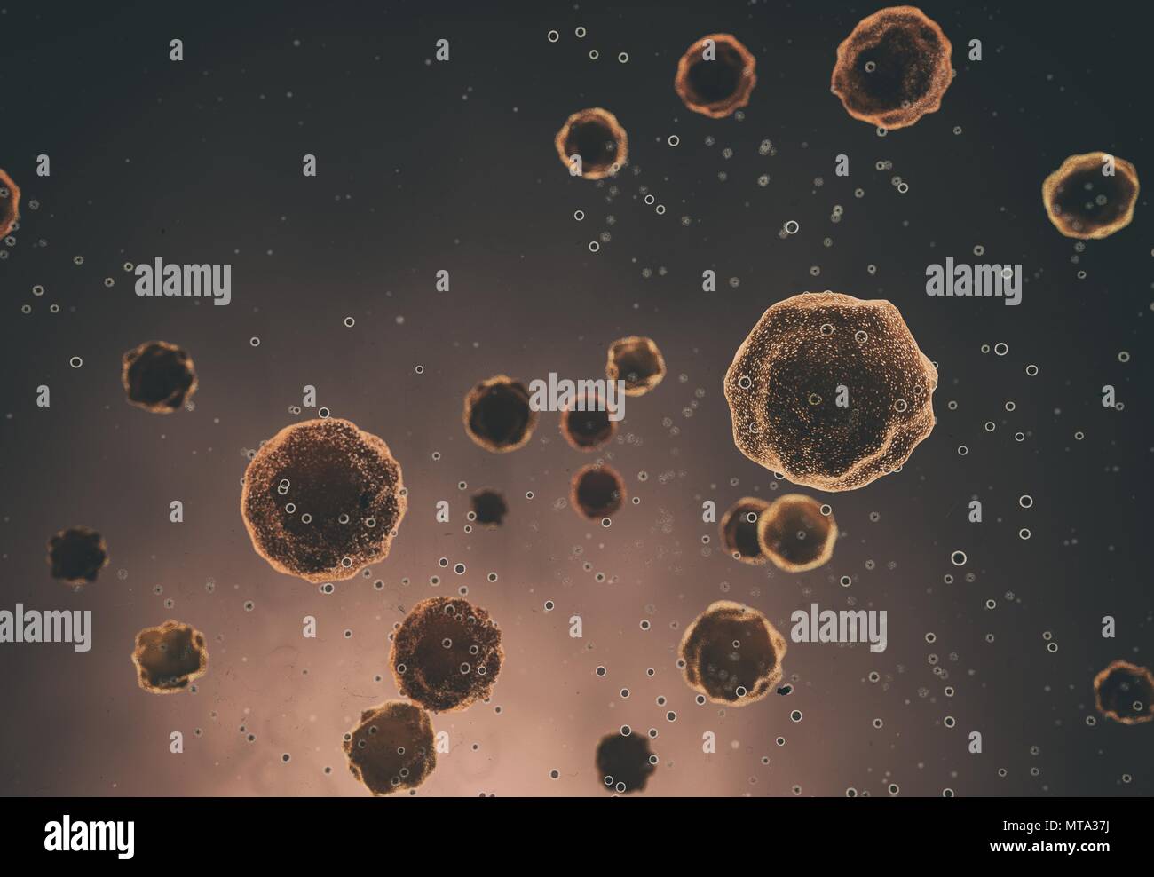 Abstract Illustration of bacteria - in brown colors Stock Photo - Alamy