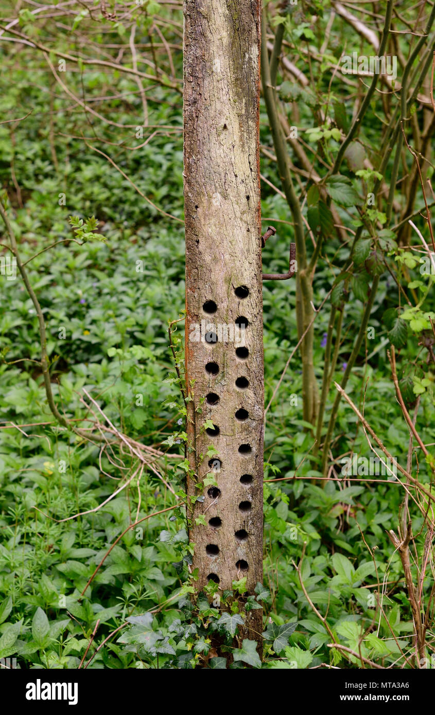 Offset arrangement hi-res stock photography and images - Alamy