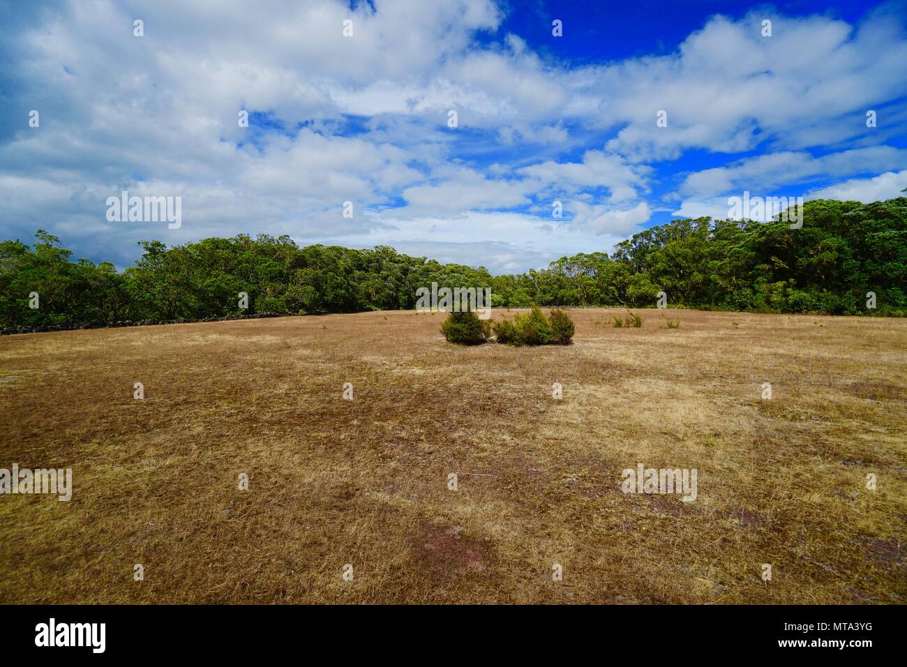 Rangitoto Island New Zealand High Resolution Stock Photography and ...