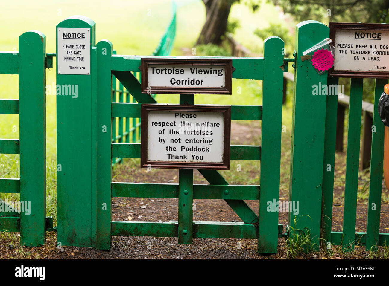 Tortoise viewing corridor hi-res stock photography and images - Alamy