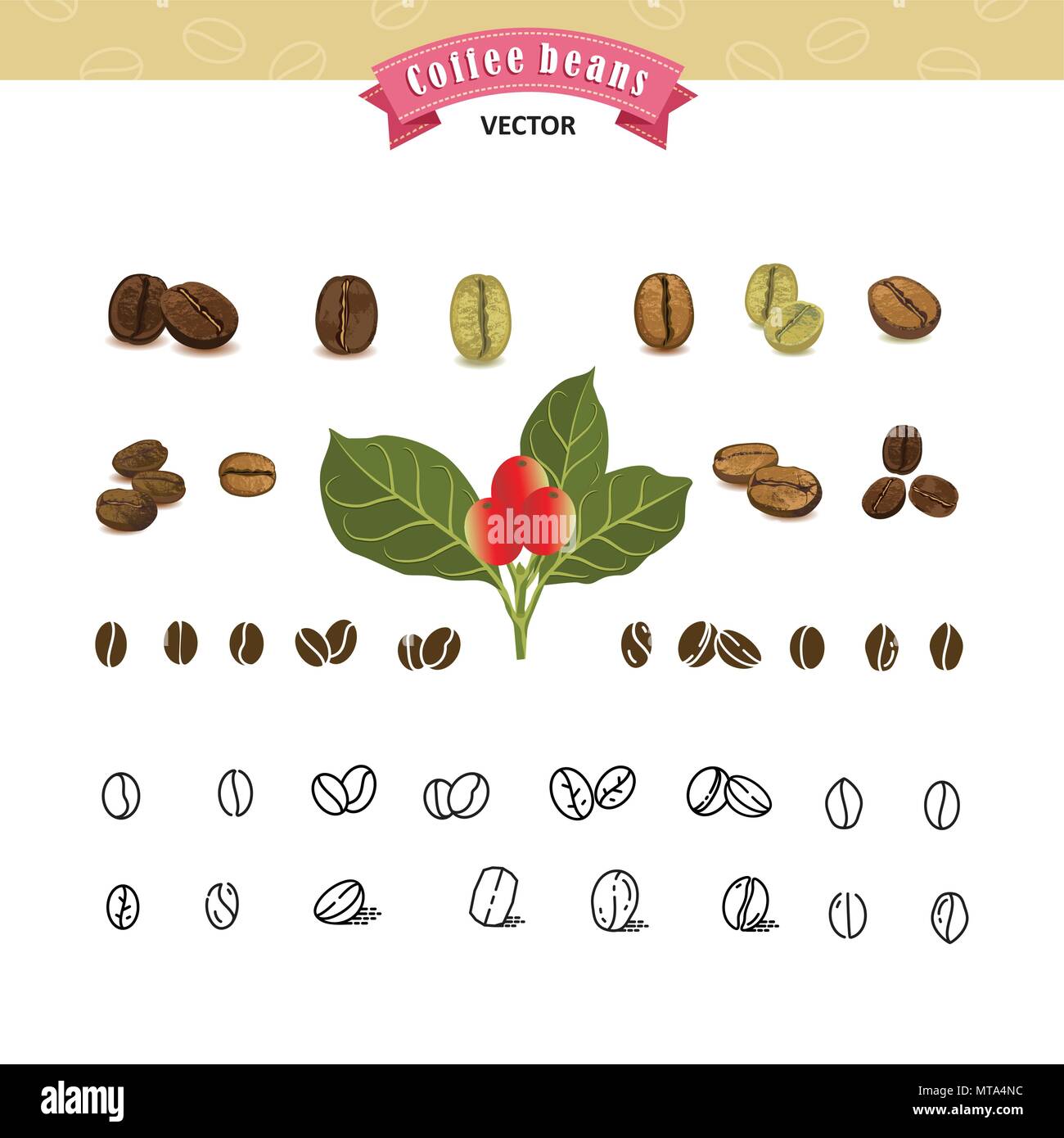 Set of vector coffee beans on white background Stock Vector Image & Art ...