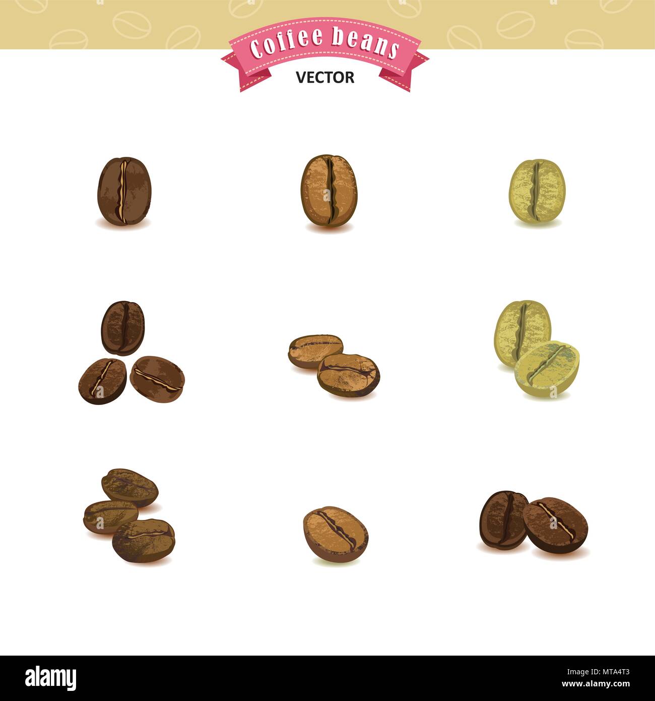 Collection of Coffee beans isolated on white background, vector ...