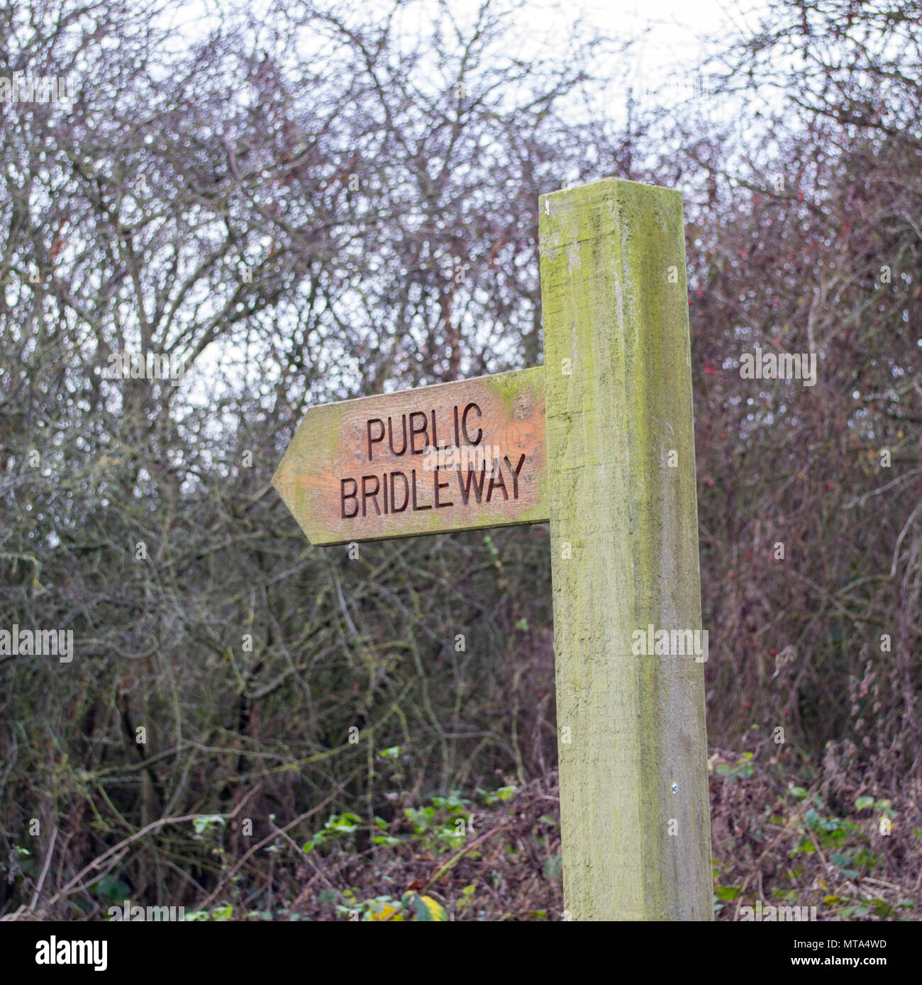 Public Bridleway Sign, Molescroft, Beverley, East Yorkshire UK Stock ...