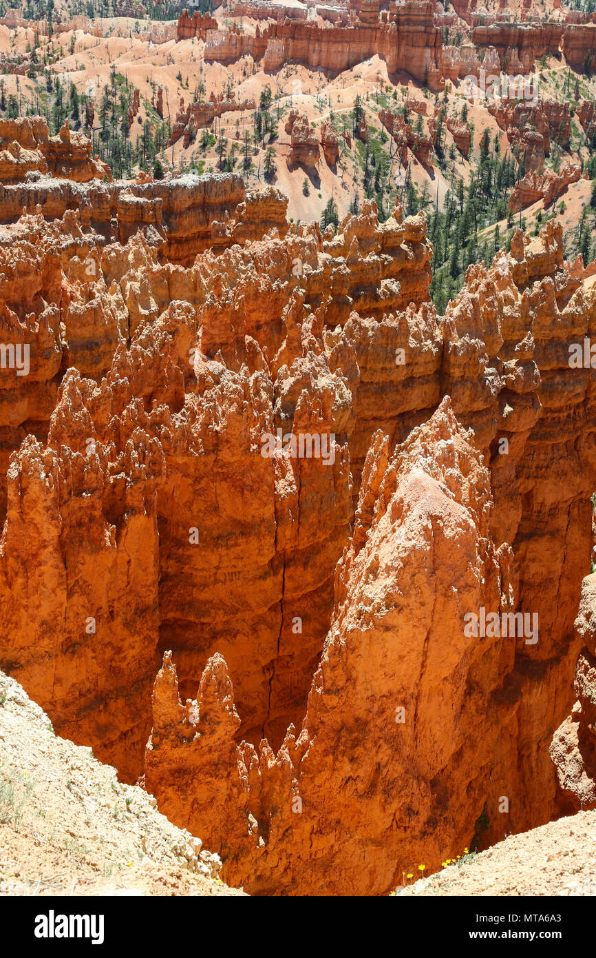 Red sandstone formations of Bryce Canyon in Bryce Canyon National Park ...