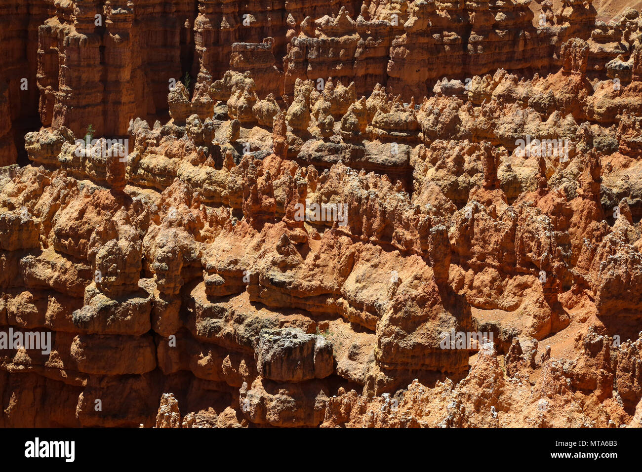Hoodoos of Bryce Canyon in Bryce Canyon National Park, UT Stock Photo ...