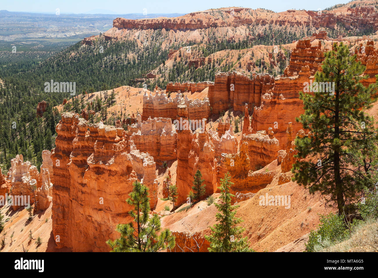 Hoodoos of Bryce Canyon in Bryce Canyon National Park, UT Stock Photo ...