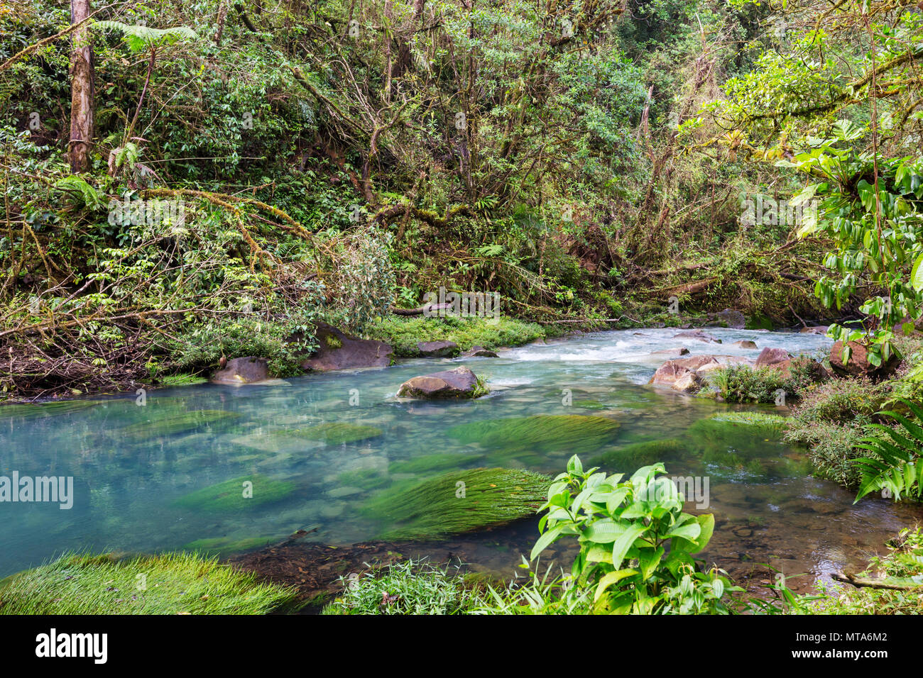 Beautiful stream water flowing down in rain forest. Costa Rica, Central ...