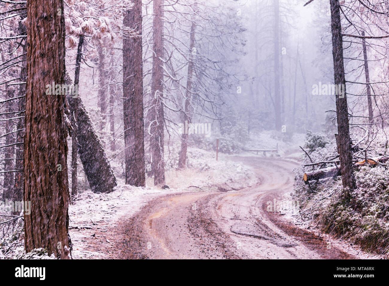 Sierra snowstorm hi-res stock photography and images - Alamy