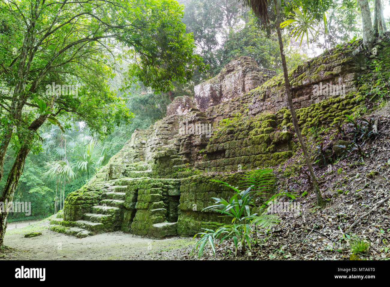 Famous ancient Mayan temples in Tikal National Park, Guatemala, Central ...