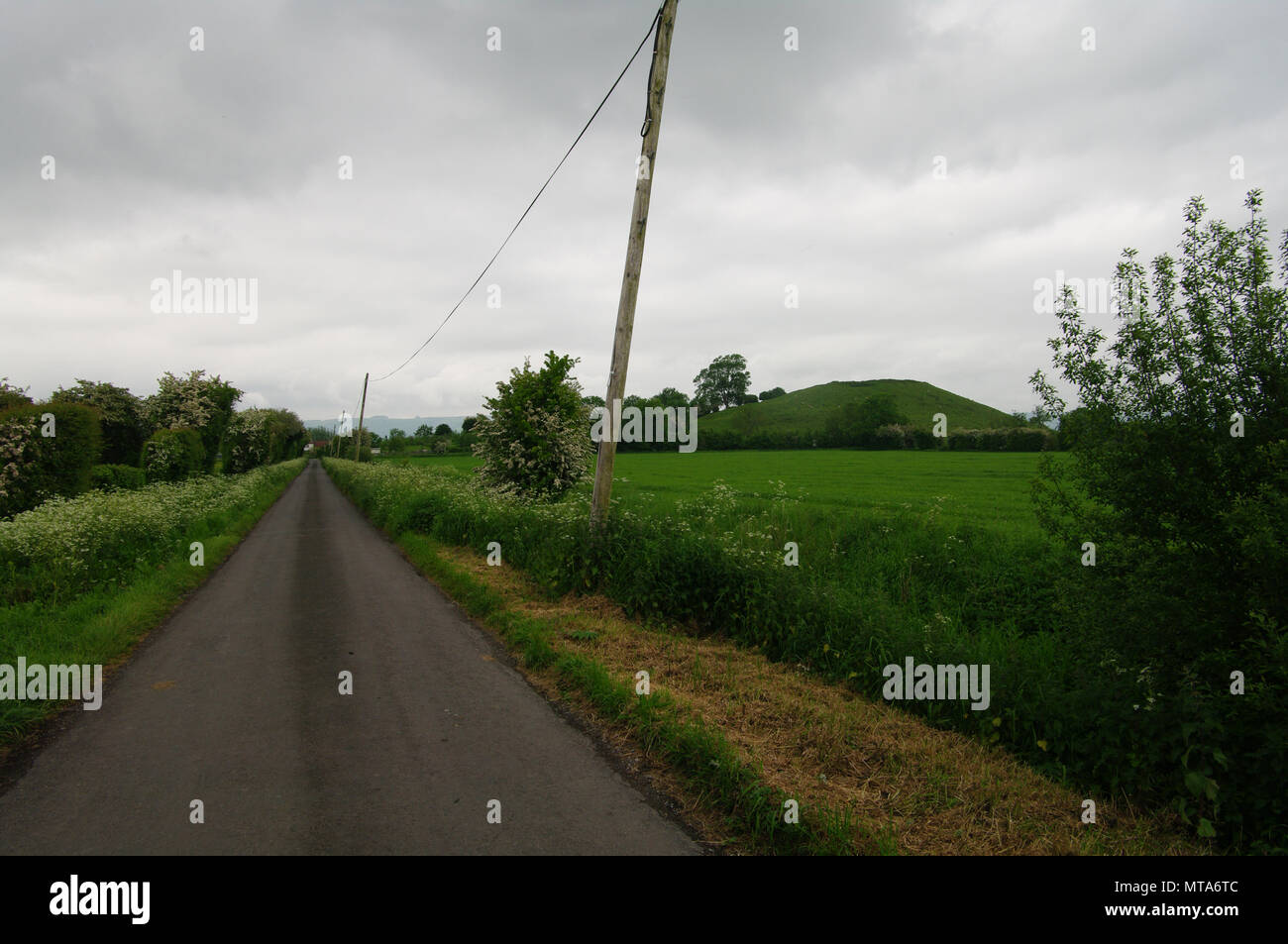Somerset Levels, England Stock Photo - Alamy