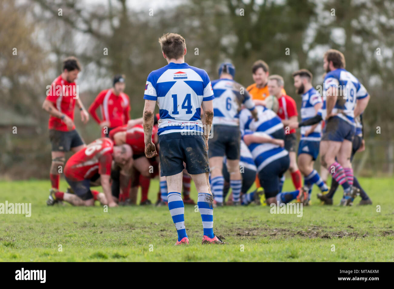Winger High Resolution Stock Photography and Images - Alamy