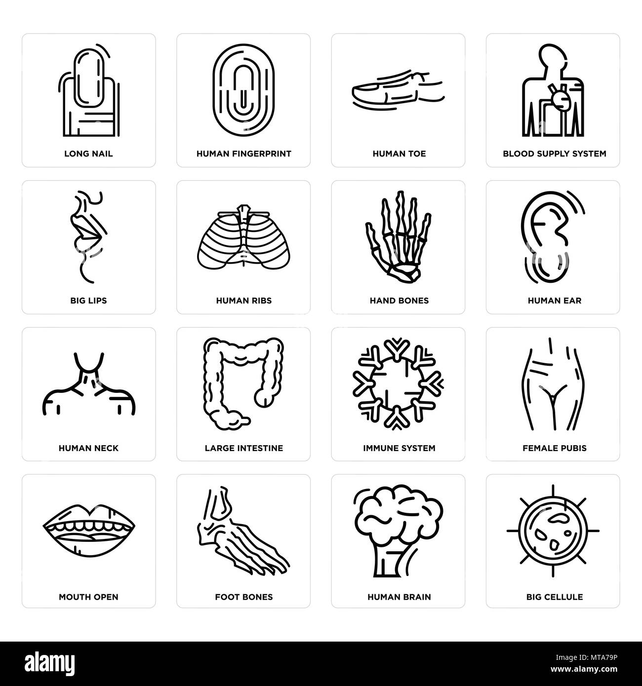 Cellulitis and foot hi-res stock photography and images - Alamy