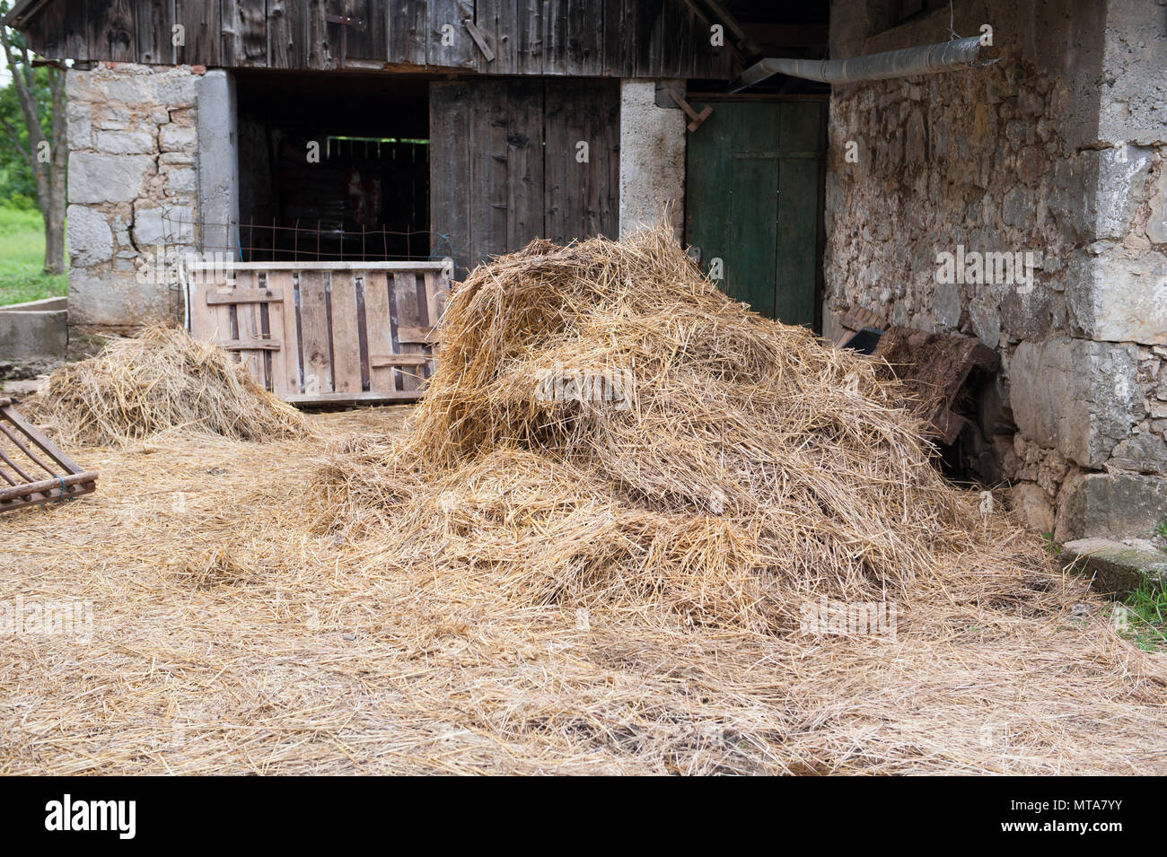 Old farmhouse with yellow and dry stack of hay Stock Photo - Alamy
