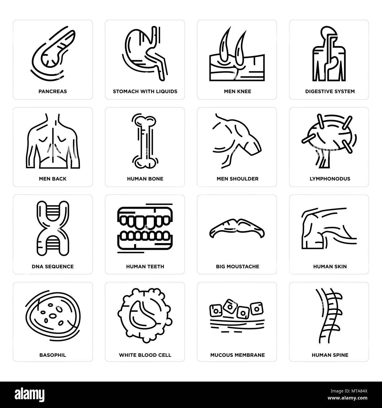 Set Of 16 simple editable icons such as Human Spine, Mucous Membrane ...