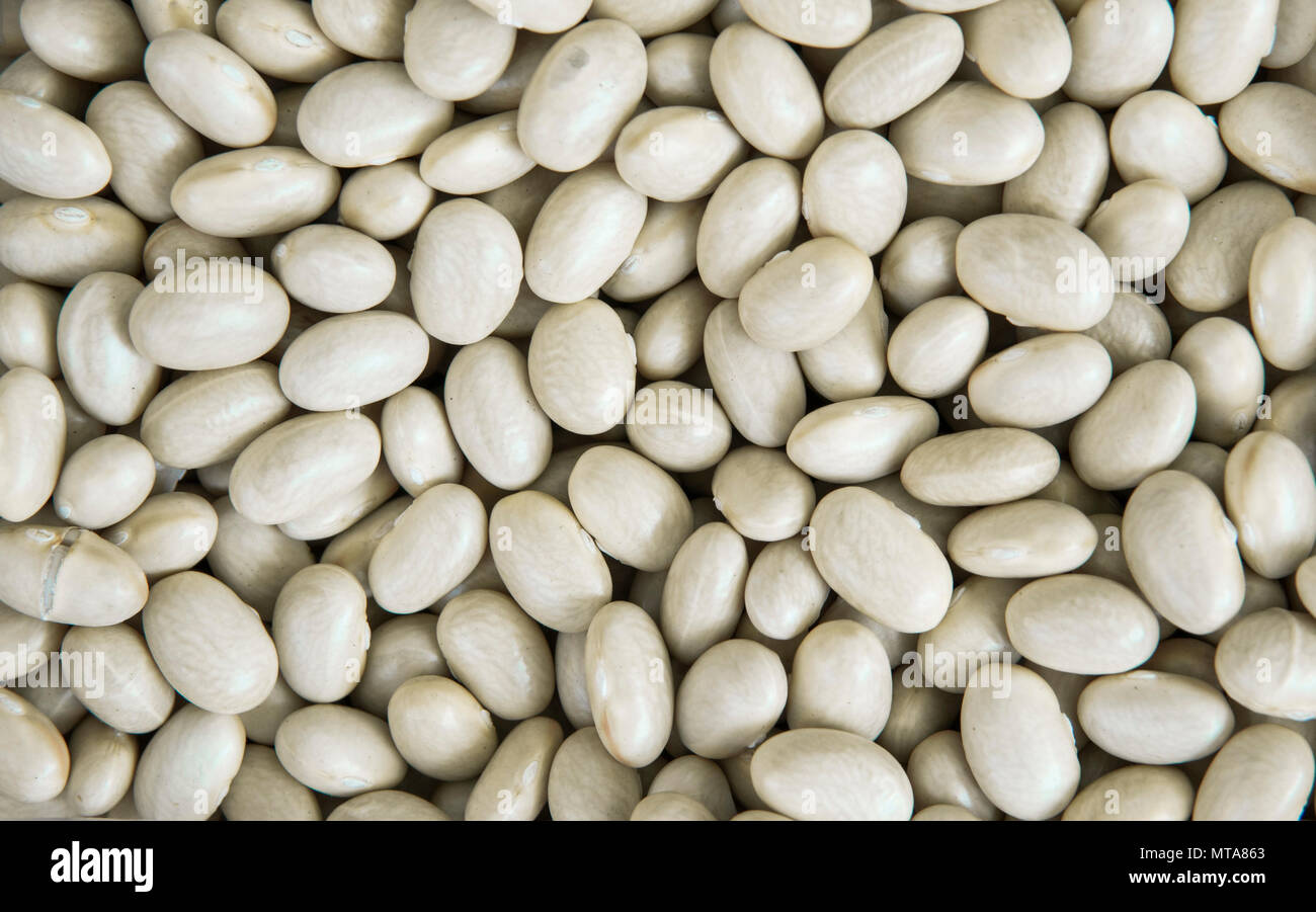 Close up white beans background and as a texture. Healthy vegetarian ...