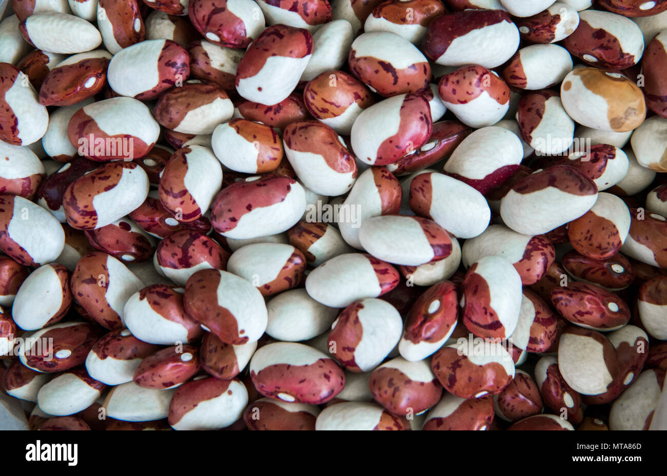 Close up Red white beans background and as a texture. Healthy ...