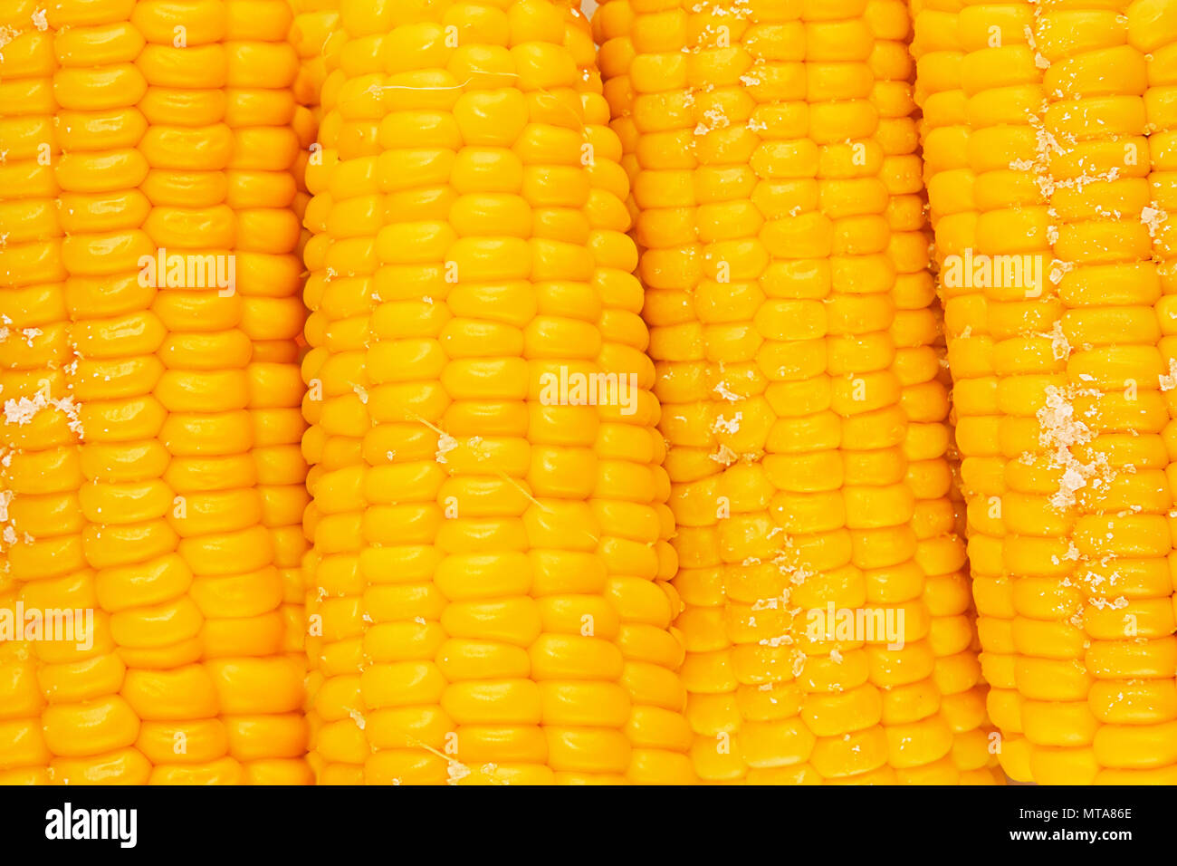 corn on the cob, boiled corn, corn meal, ripe corn, juicy corn, Photo ...
