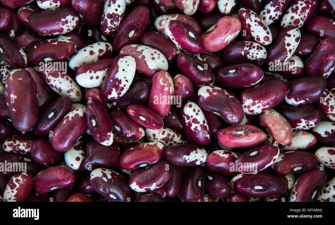 Close up Red white beans background and as a texture. Healthy ...