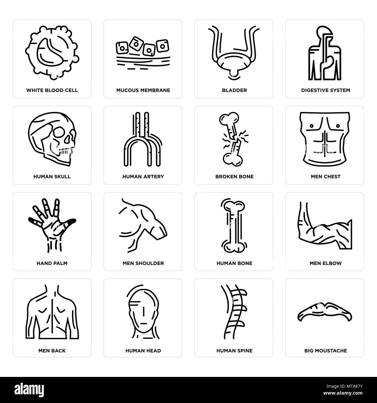 Set Of 16 simple editable icons such as Big Moustache, Human Spine ...