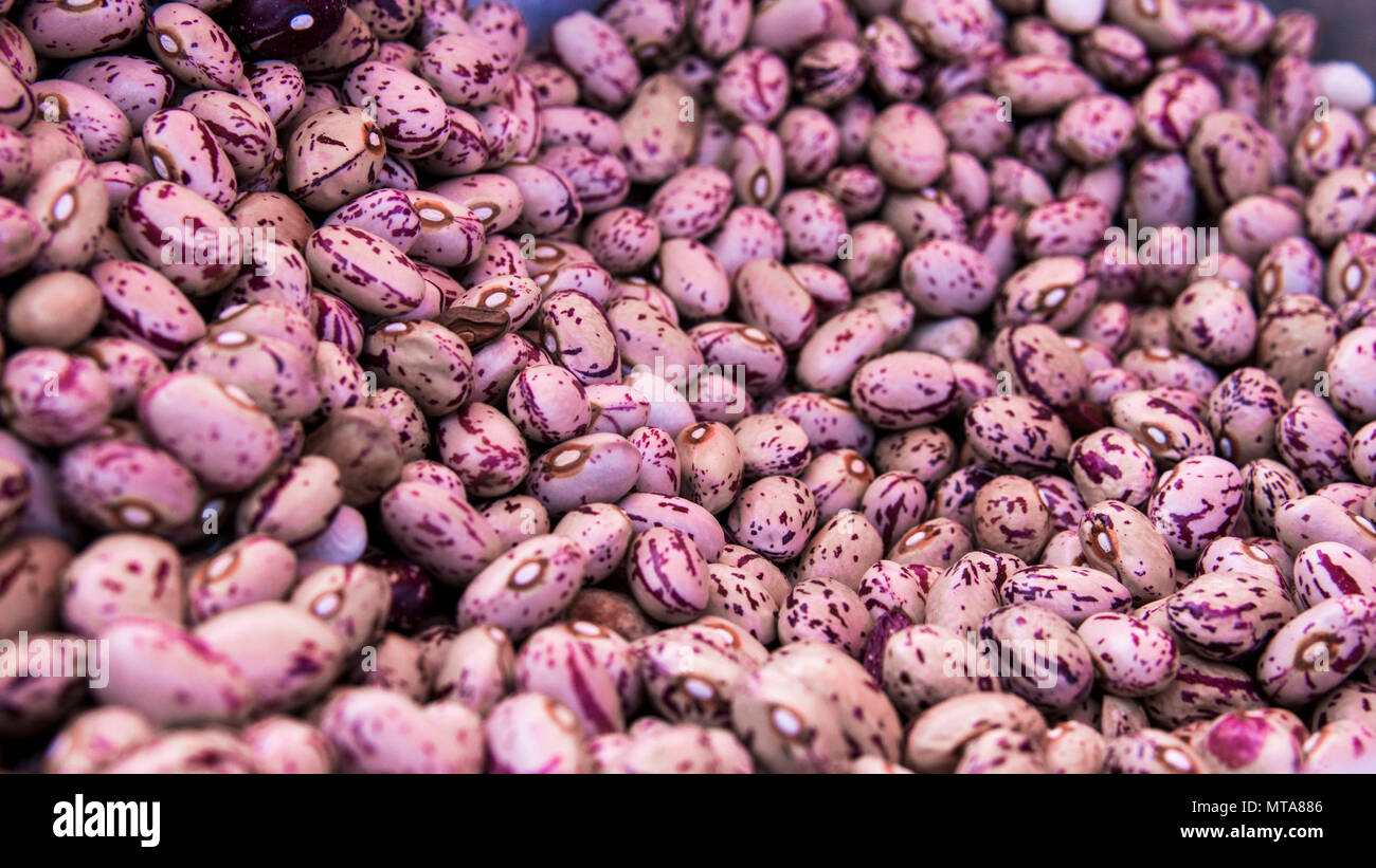 Close up pink beans background and as a texture. Healthy vegetarian ...
