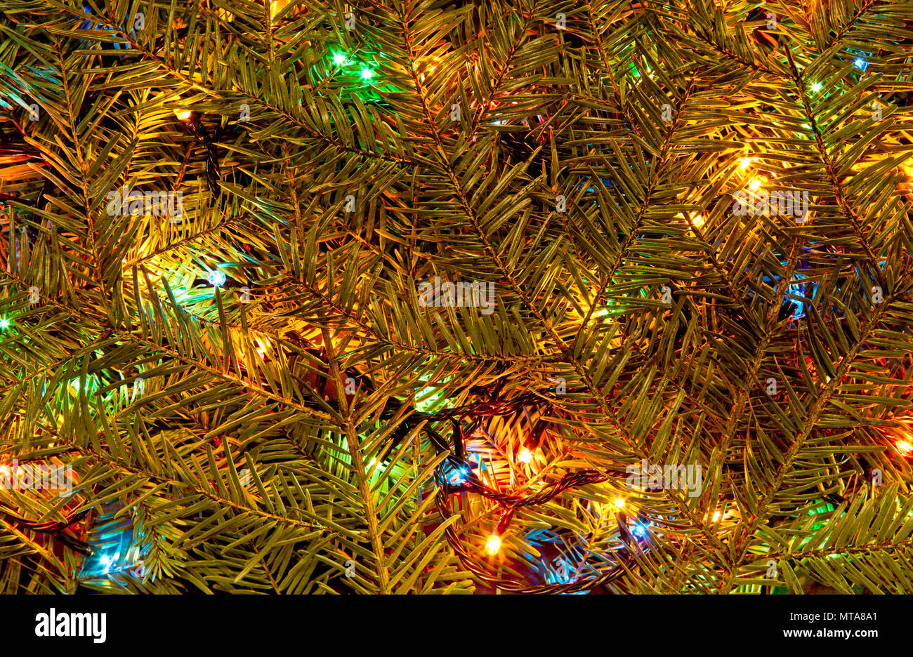 Festive holiday background of Christmas lights Stock Photo - Alamy