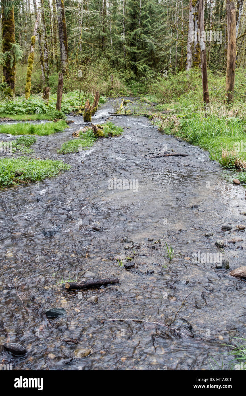 Flaming geysear state park hi-res stock photography and images - Alamy