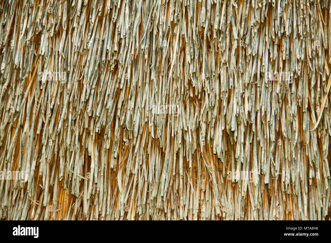 Dry straw bundle as texture or background Stock Photo - Alamy