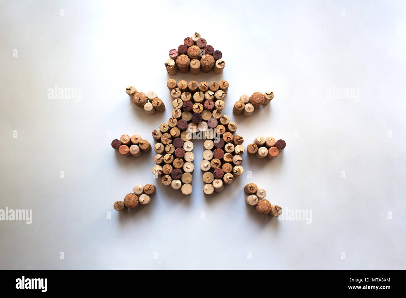 Wine corks bug silhouette isolated on white background from a high ...