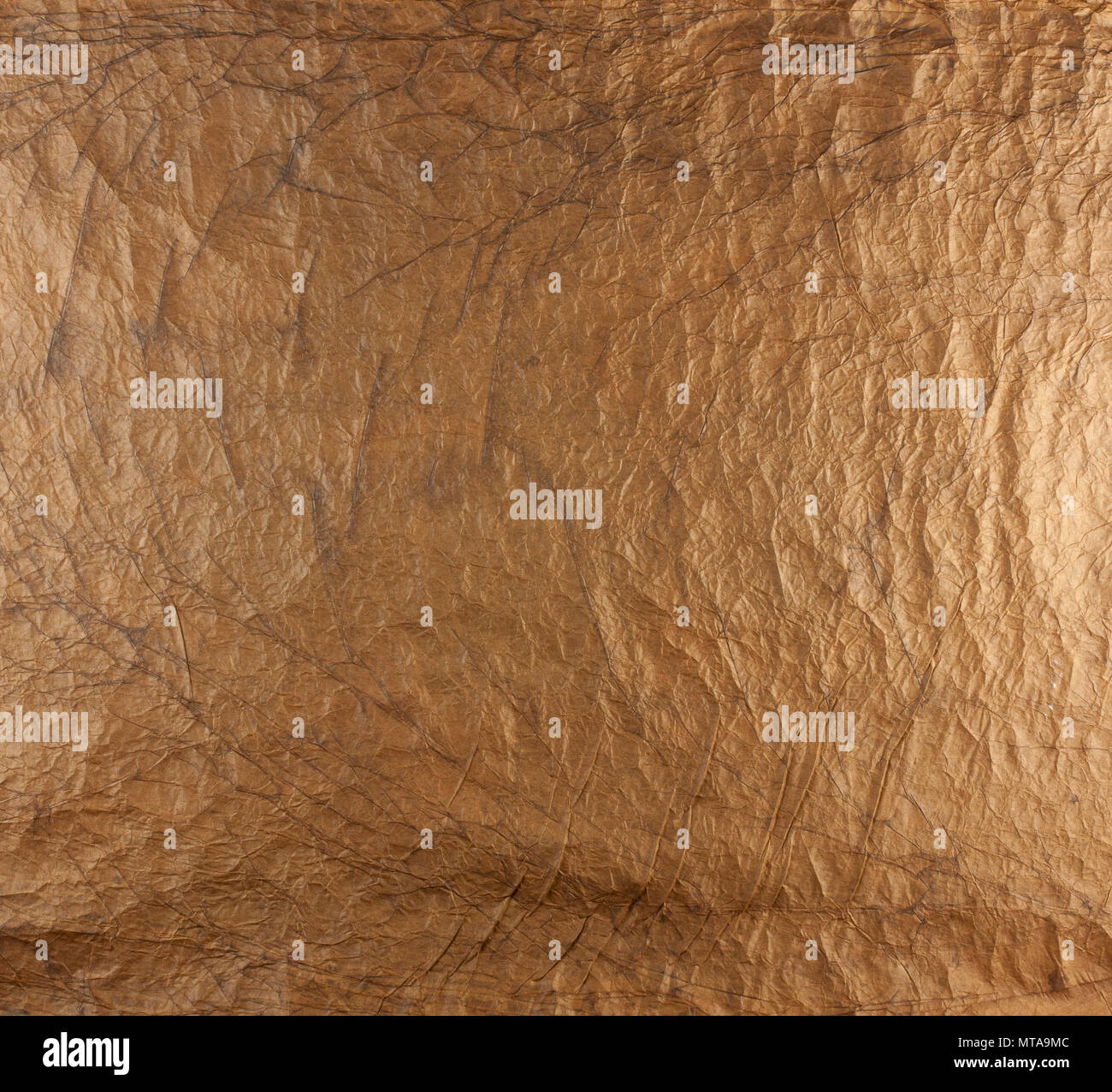 Grungy stained wrinkled paper hi-res stock photography and images - Alamy