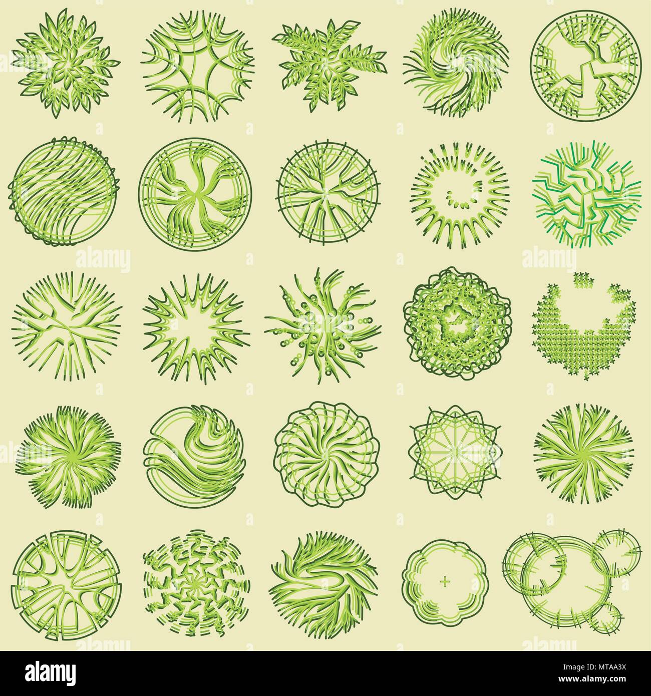 Trees and bush item top view for landscape design, vector icon Stock ...