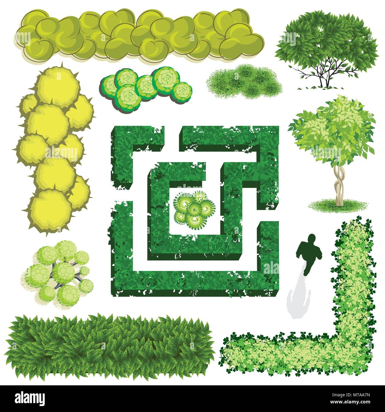 Trees and bush item top view for landscape design, vector icon Stock ... Trees and bush item top view for landscape design, vector icon Stock ...