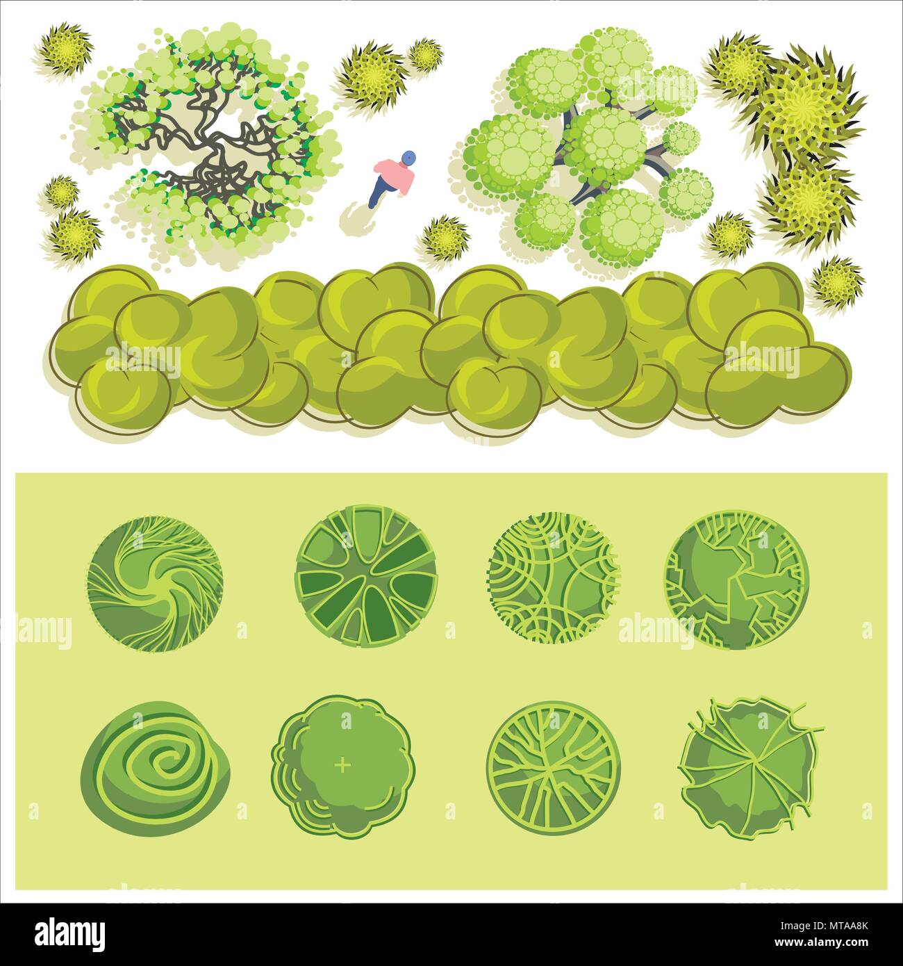 Trees and bush item top view for landscape design, vector icon Stock Vector Image & Art - Alamy