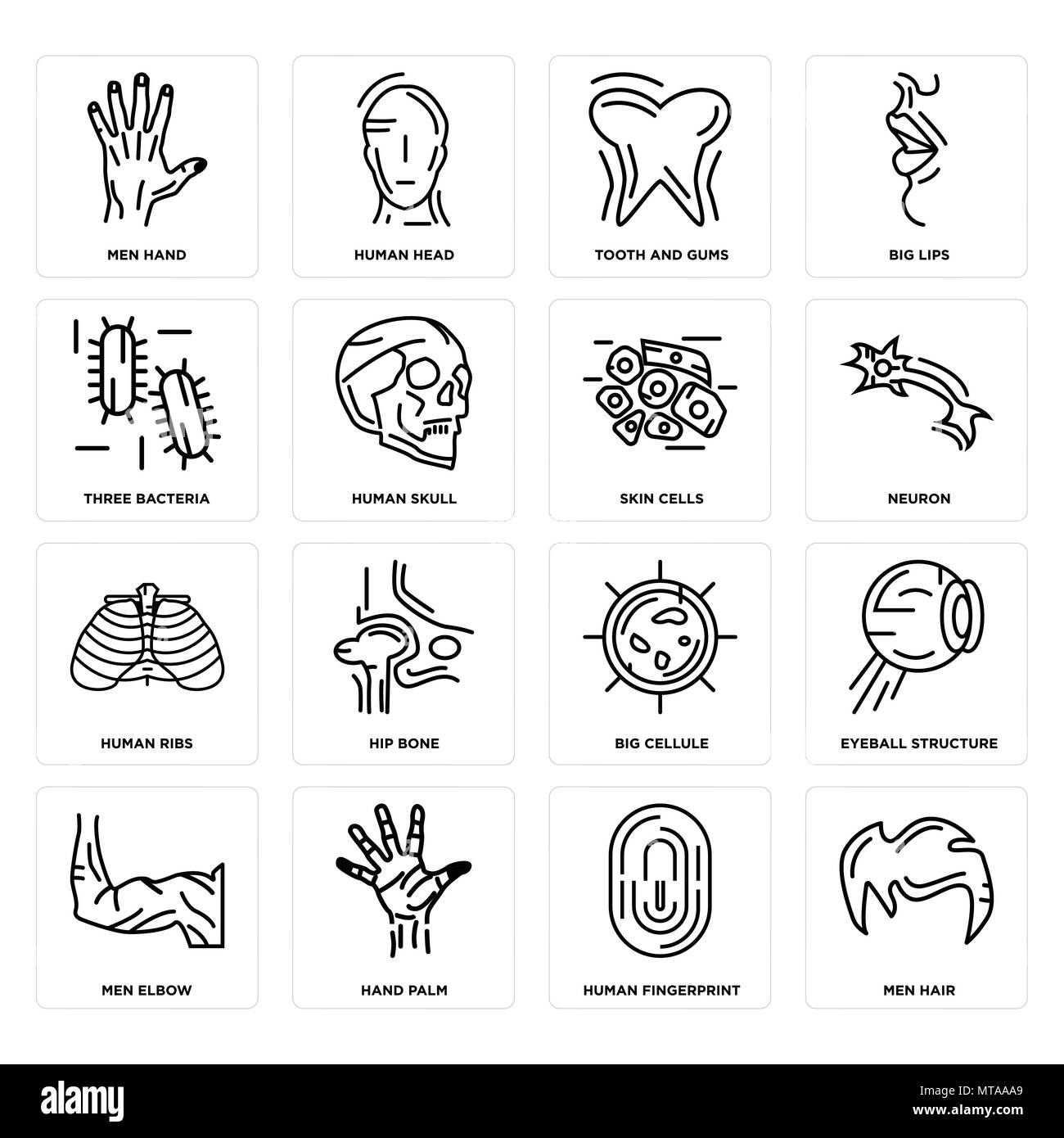 Cellulitis bacteria hi-res stock photography and images - Alamy