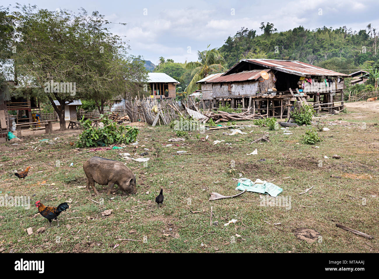 Pig houses hi-res stock photography and images - Alamy