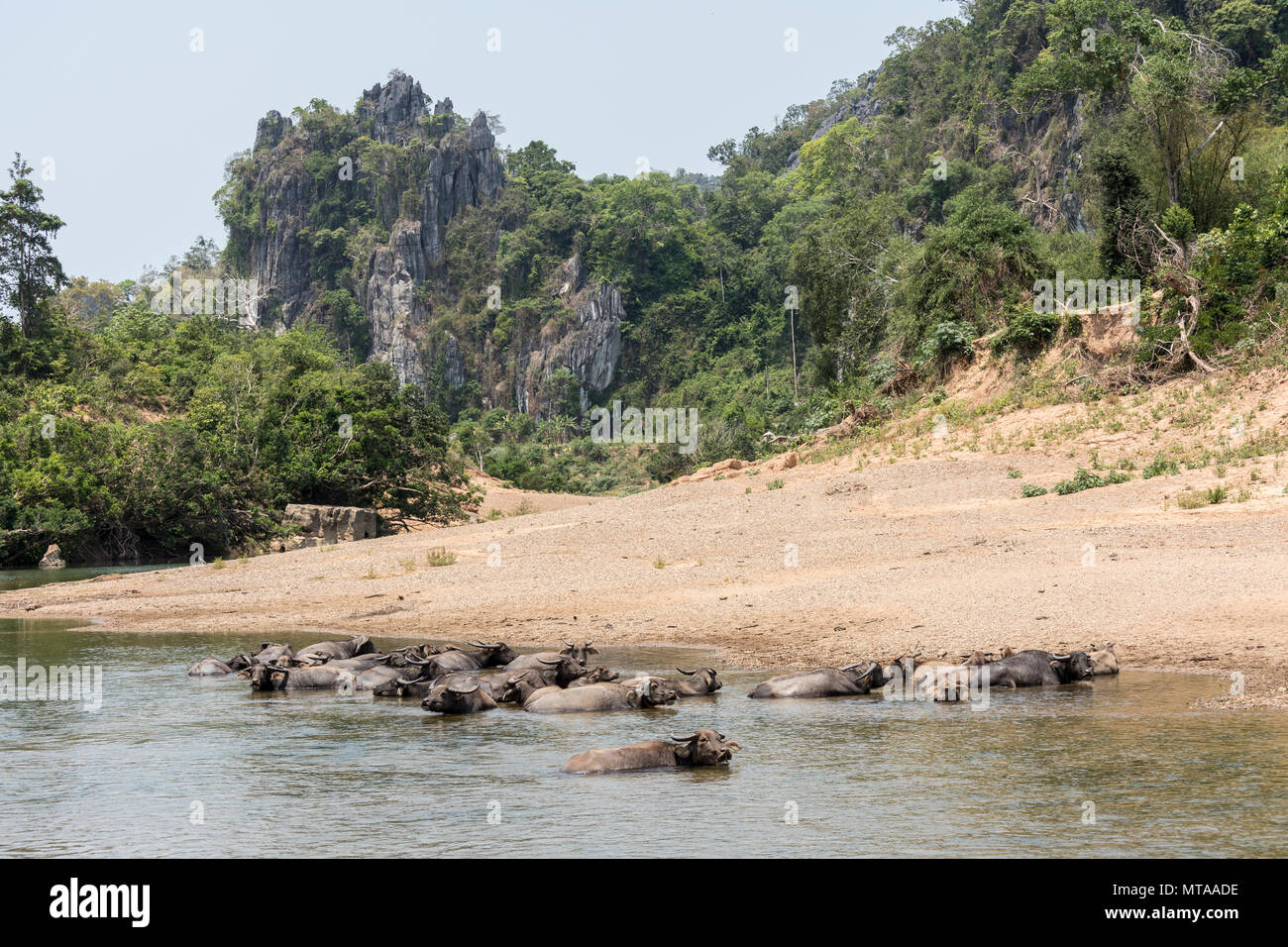 Ping river hi-res stock photography and images - Alamy
